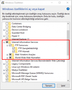 Windows 10 Internet Information Services (IIS) Kurulumu (Resimli ...